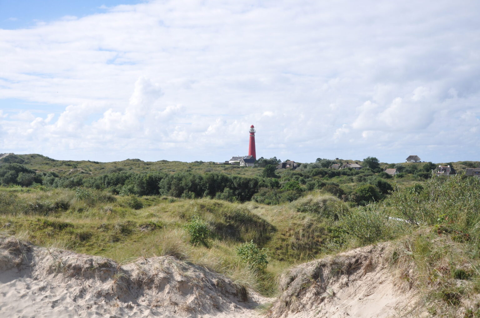 Home - NP Schiermonnikoog
